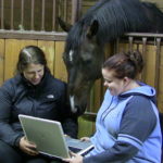 Sample CHA Lesson Plan – Certified Horsemanship Association