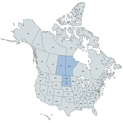 CHA Regions & Conferences – Certified Horsemanship Association