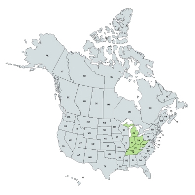 CHA Regions & Conferences – Certified Horsemanship Association