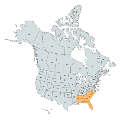 CHA Regions & Conferences – Certified Horsemanship Association