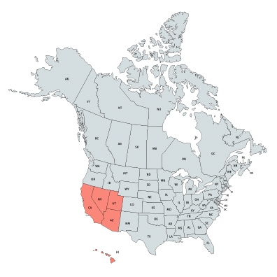 CHA Regions & Conferences – Certified Horsemanship Association