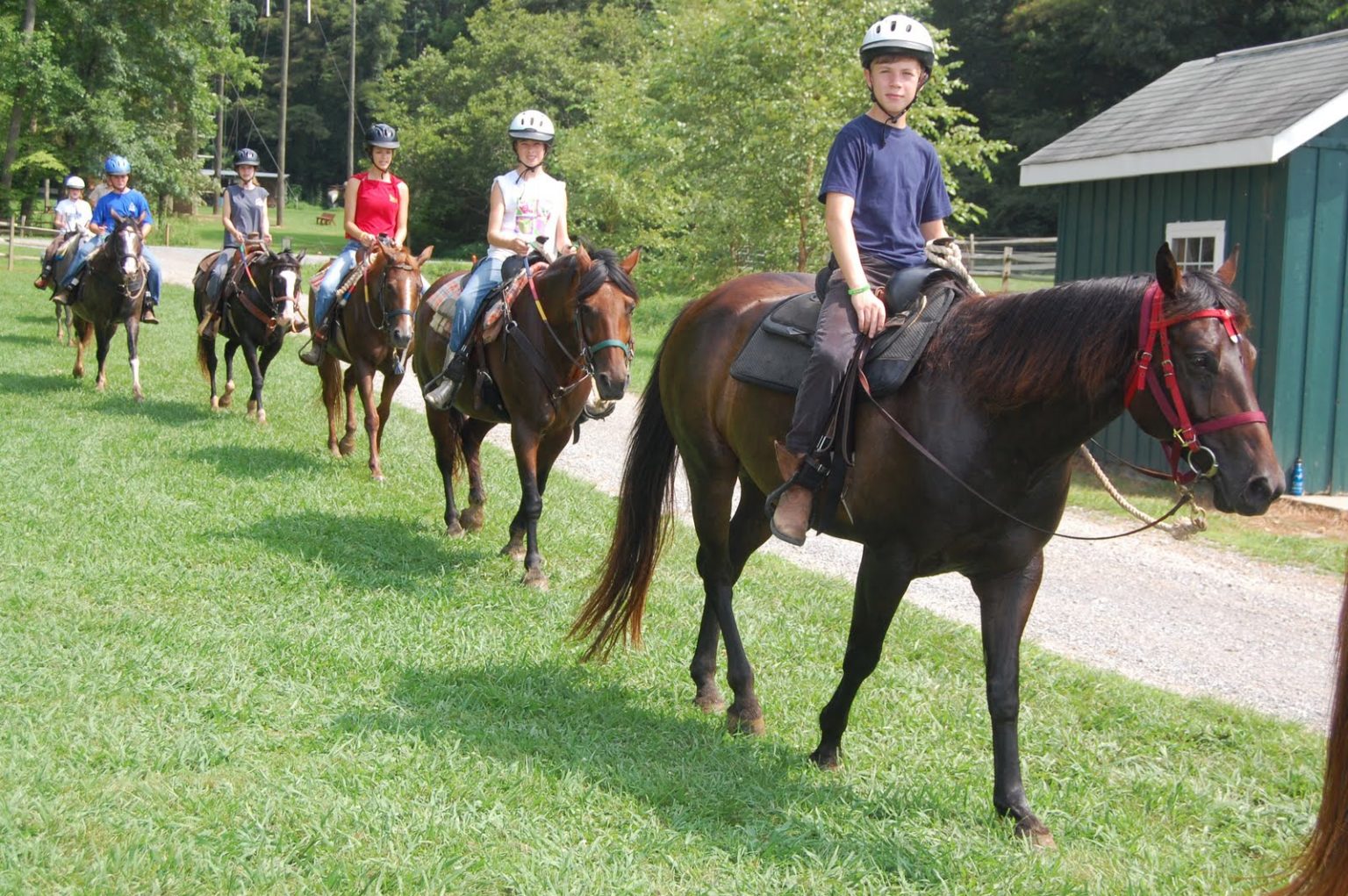 CHA Site Accreditation – Certified Horsemanship Association