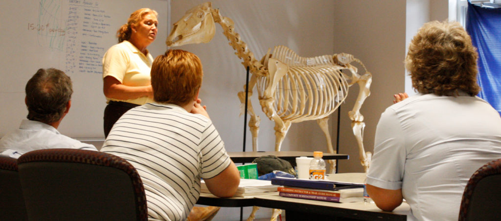 CHA Certifications – Certified Horsemanship Association