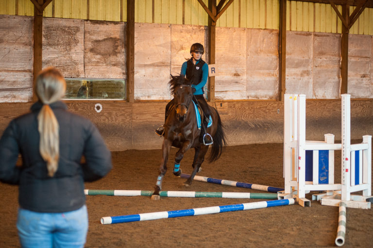 CHA Certifications – Certified Horsemanship Association