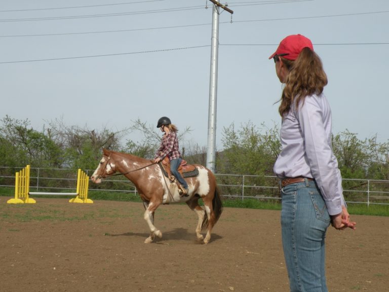 CHA Instructor Recertification – Certified Horsemanship Association
