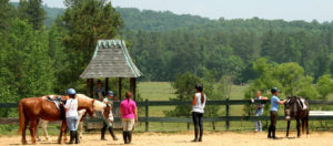 CHA Instructor Recertification – Certified Horsemanship Association