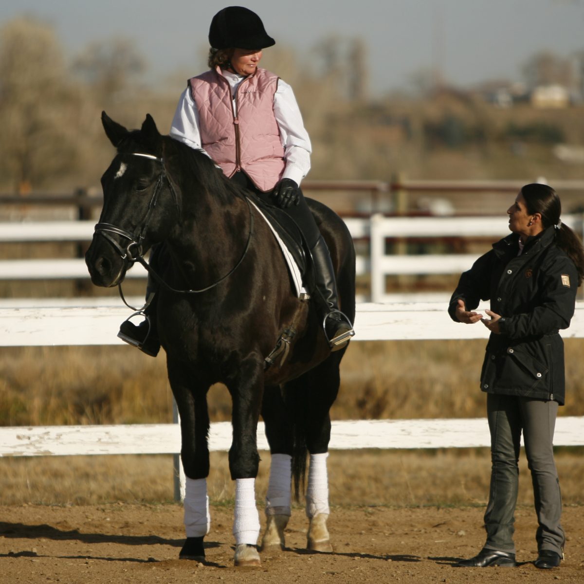 CHA BLOG – Certified Horsemanship Association