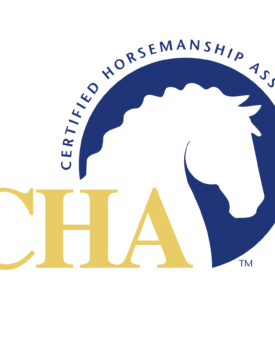 2023 International Conference Speakers and Bios – Certified ...